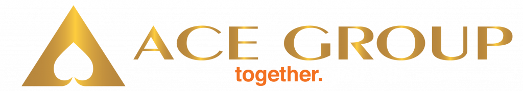 Home - Ace Group